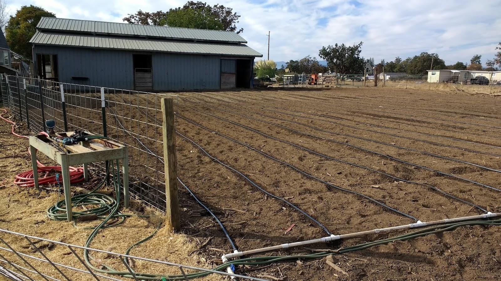 Drip Irrigation 101 – Little Sprouts Farm